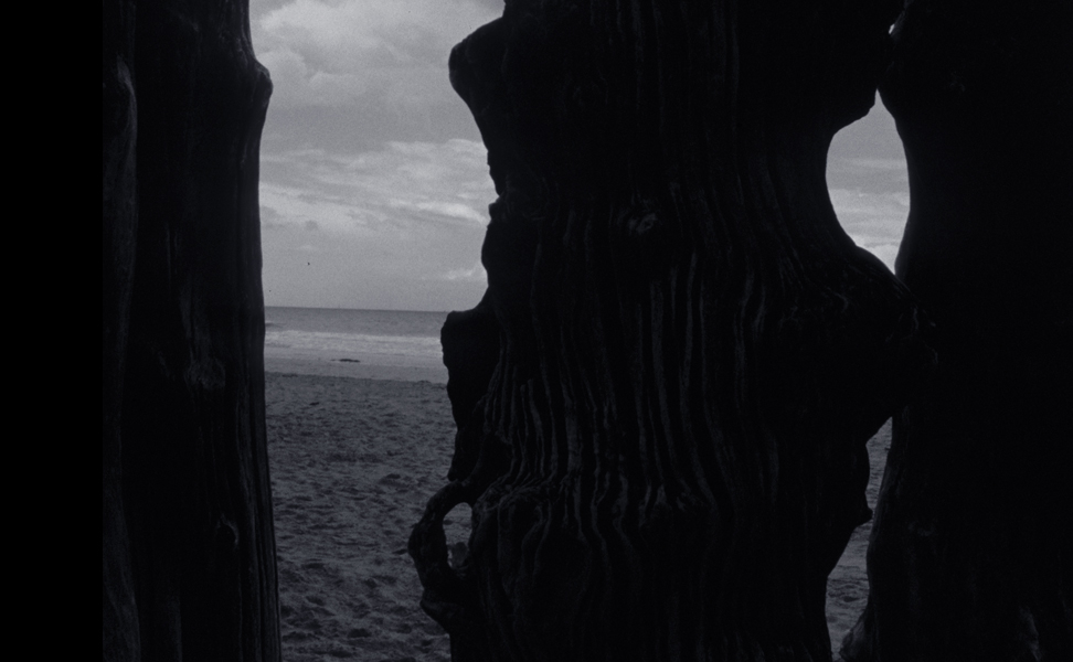 Tom Abraham, AIA | Elemental Architecture NYC